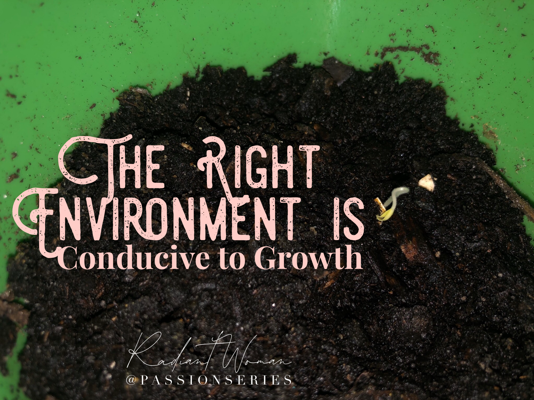 The Right Environment is Conducive to Growth – Passion Series